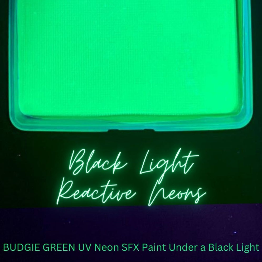 GTX Paint | Crafting Cake - Neon Budgie Green 120gr (SFX - Non Cosmeti ...