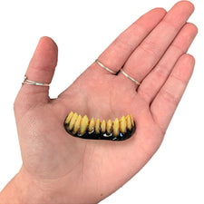 Dental Distortions | FX Fangs 2.0 - PENNYWISE VENEERS - BLACK GUMMED ...